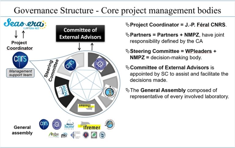 Governance structure – CIGESMED
